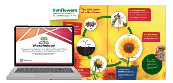 Ontario Foundational Skills Solutions